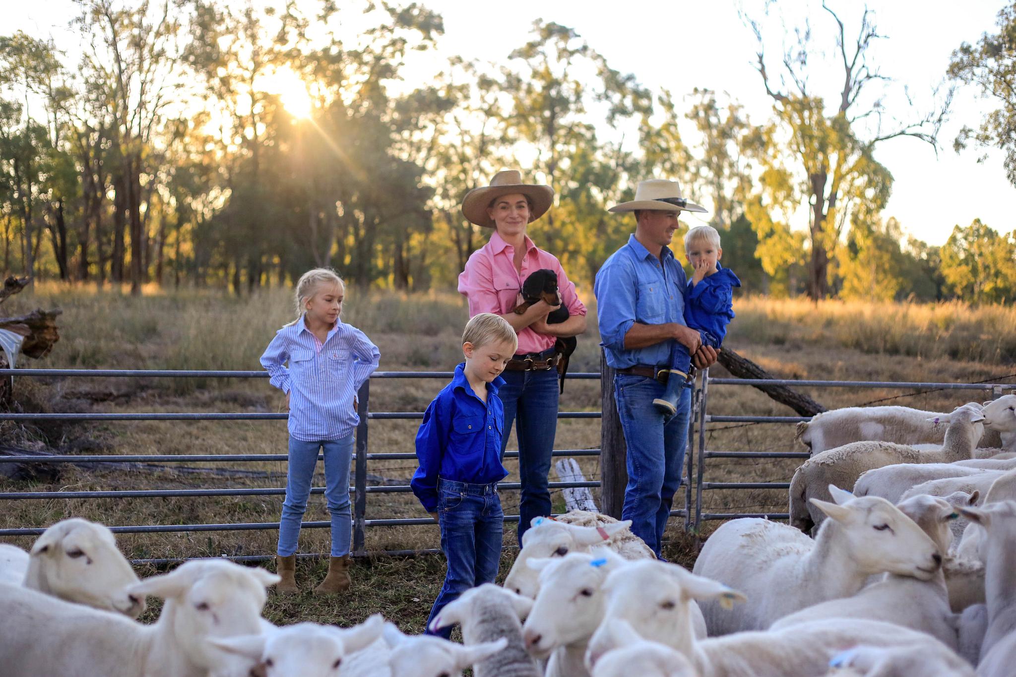 Macintyre Brook - Delicious, nutritious, ethical Australian Lamb ...
