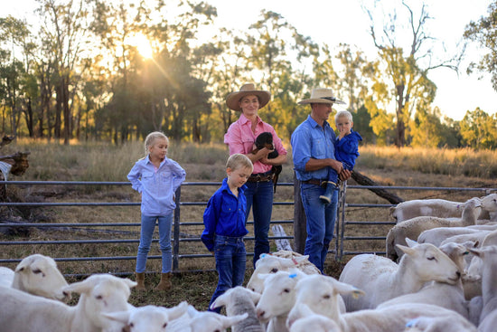Macintyre Brook - Delicious, nutritious, ethical Australian Lamb ...