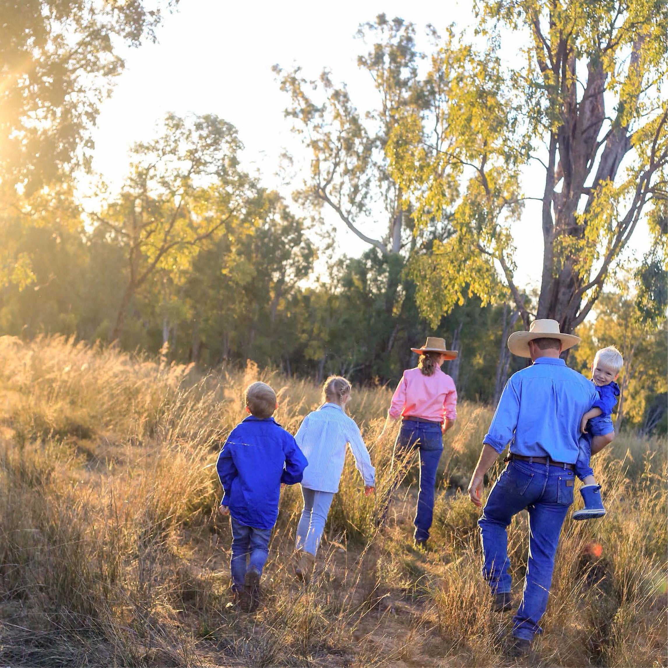 Macintyre Brook - Delicious, nutritious, ethical Australian Lamb ...