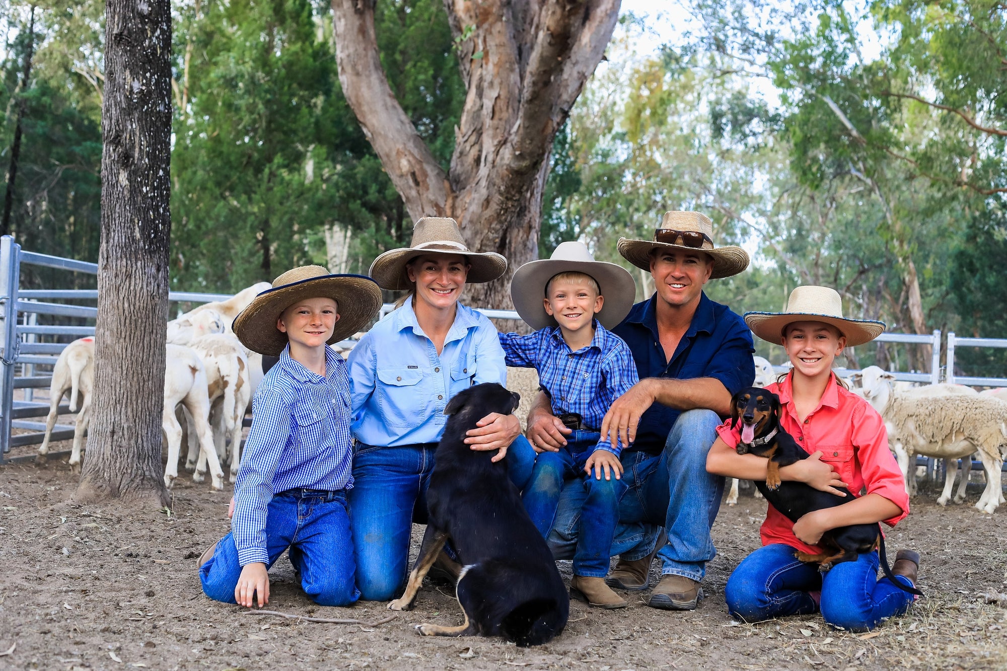 Macintyre Brook - Delicious, nutritious, ethical Australian Lamb ...