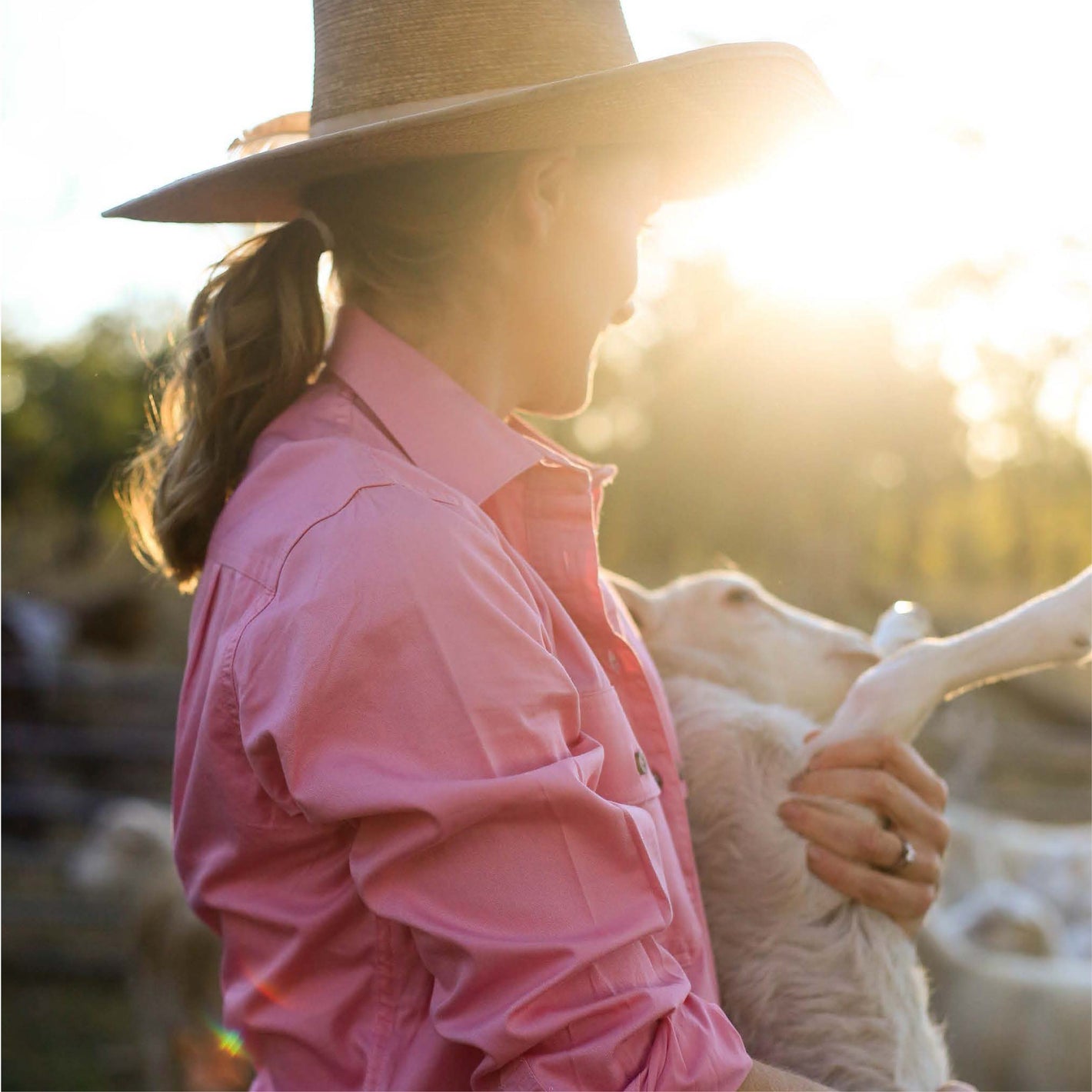 Macintyre Brook - Delicious, nutritious, ethical Australian Lamb ...